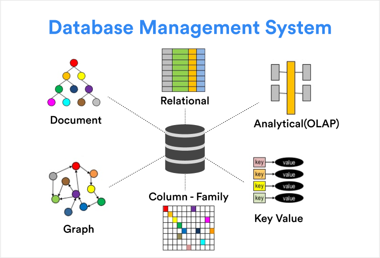 The Basic Elements Of A Database And DBMS FounderJar