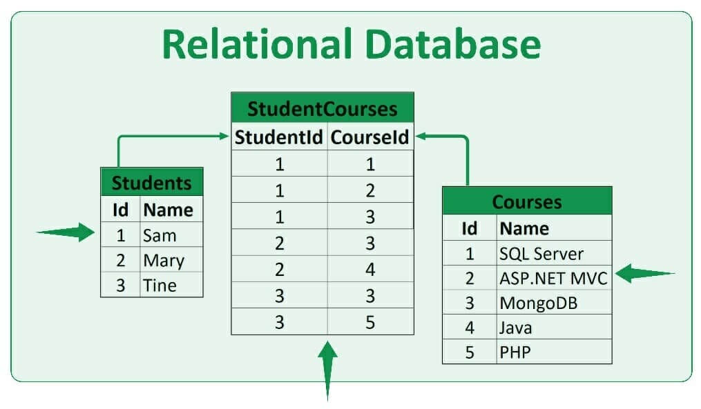 The Basic Elements Of A Database And DBMS FounderJar