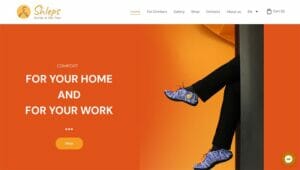 20 Best Zyro Website Examples For 2025