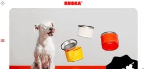 20 Excellent Website Redesign Examples (Before & After)